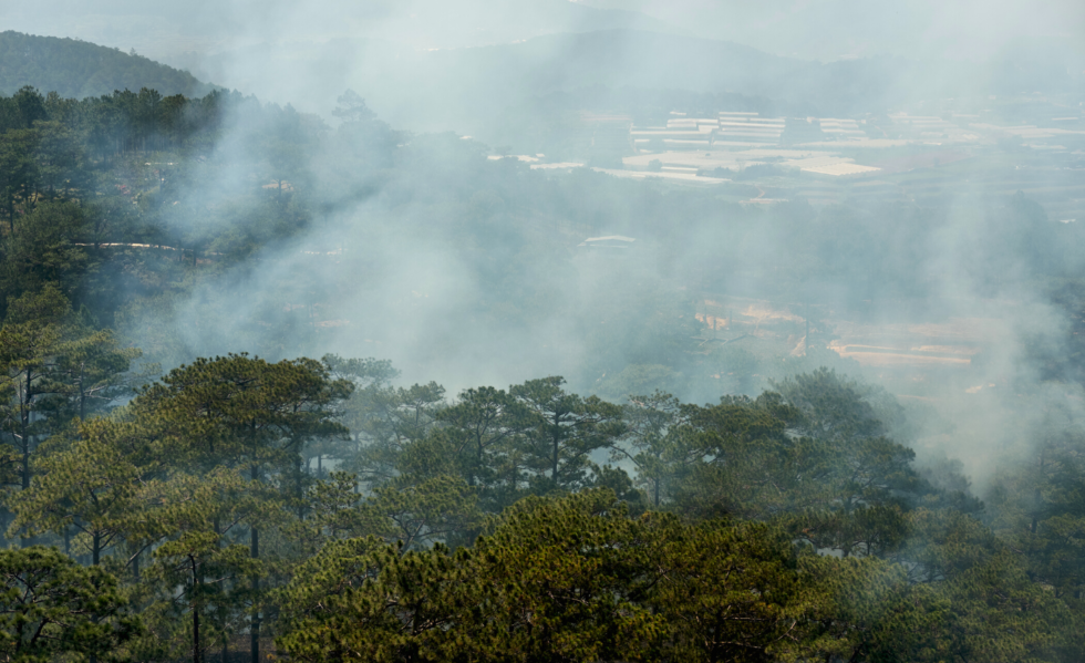 Wildfire Smoke: Tips for Protecting Your Health from Poor Air Quality ...